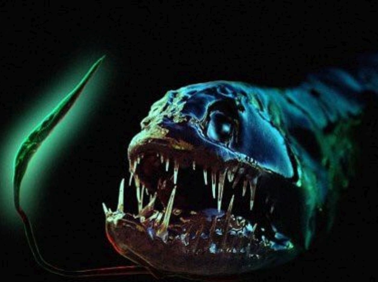 Zóna Abysál: Svět, ve kterém žijí monstra? – EpochálníSvět.cz