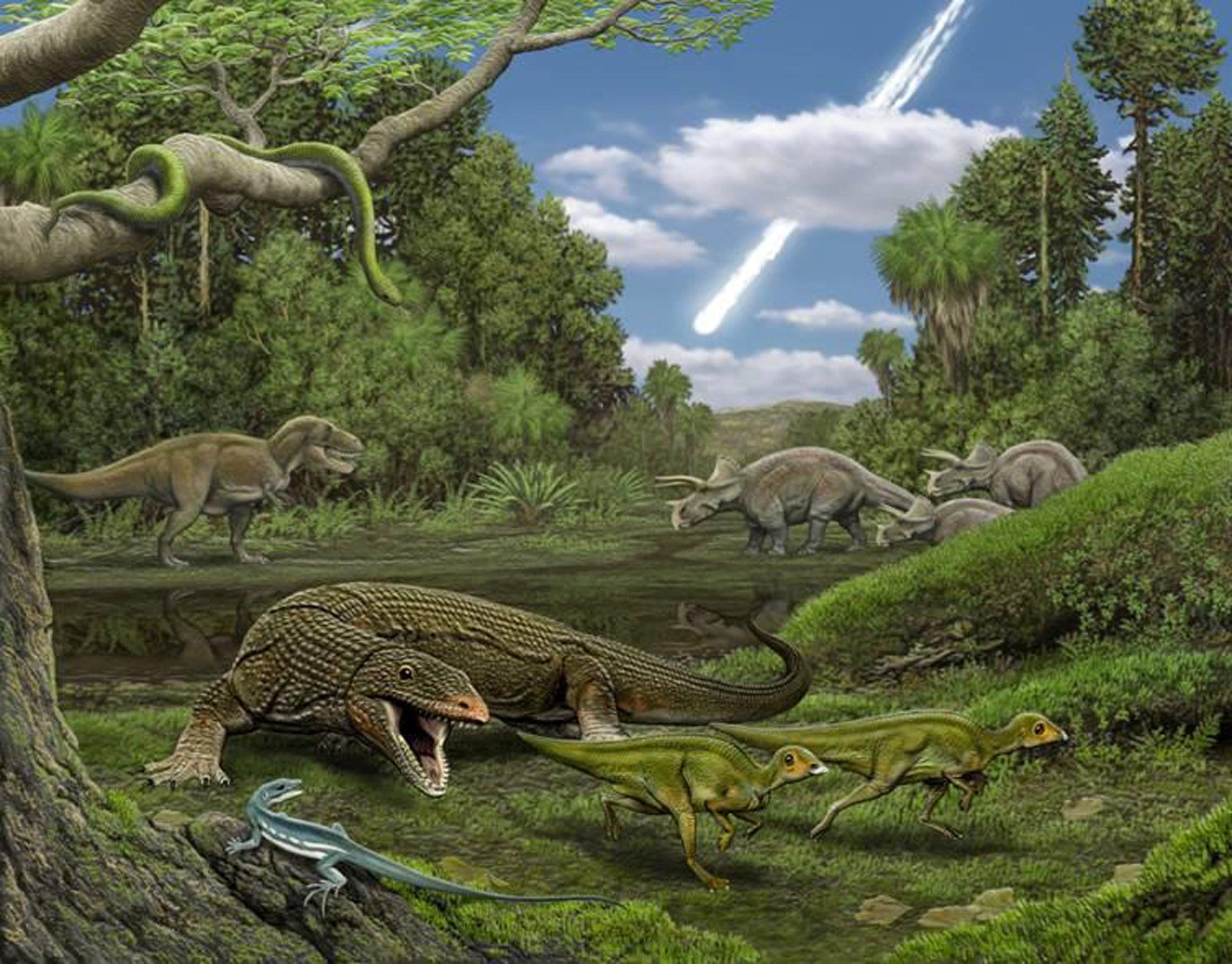 Handout image of the carnivorous lizard Palaeosaniwa stalks a pair of ...